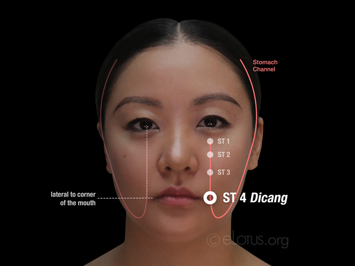 Dicang (ST 4) | Master Tung's Acupuncture | eLotus CORE